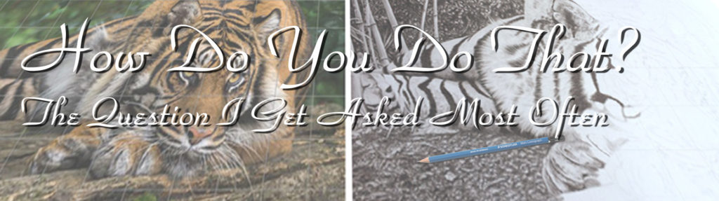 How Do You Do That - MNaitoDesigns - Keeping it real, one drawing at a ...